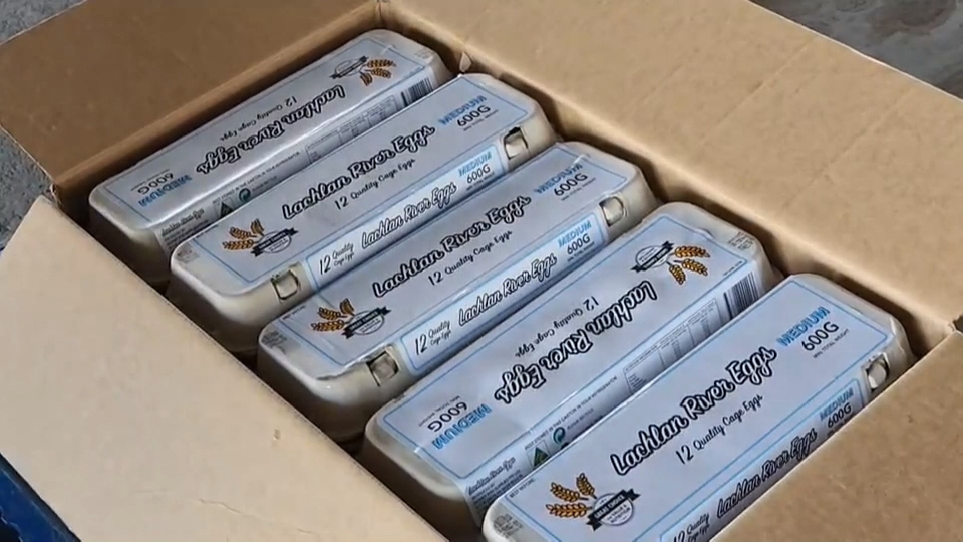 開放8國雞蛋進口 陳吉仲：4月買蛋免排隊 ｜ 公視新聞網 PNN