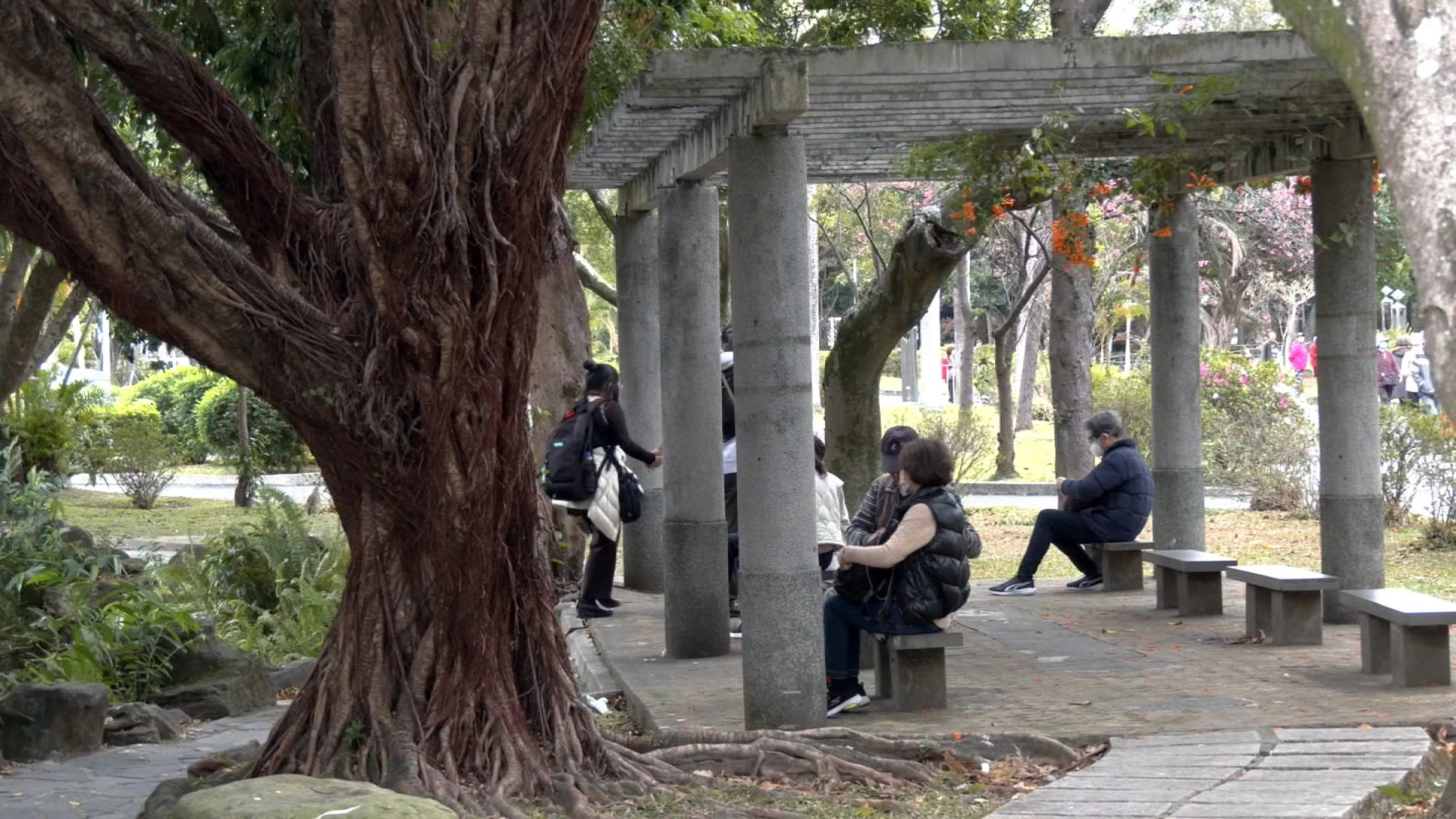 2 gelombang massa udara dingin tiba silih berganti, suhu 25/2 capai 12 ...