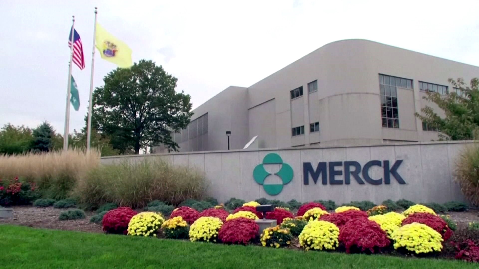 บ. Merck ยื่นขอใช้ยาโมลนูพิราเวียร์รักษาโควิด-19 เป็นกรณีฉุกเฉิน ｜ 公視新聞 ...