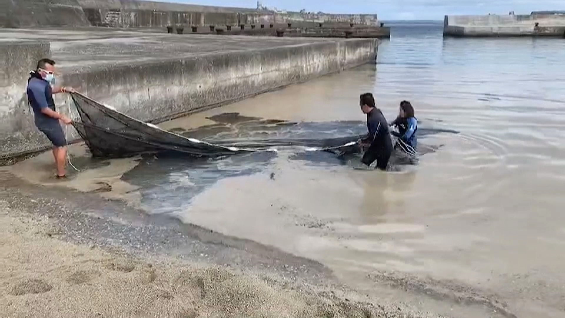 Batu apung dari gunung berapi di Jepang mengalir ke pantai Taiwan ｜ 公視 ...